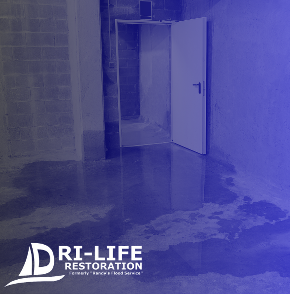 About Dri-Life Restoration | Trusted Restoration in Traverse City